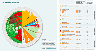 At the intersection of climate change, nutrition & health - Fogarty ...